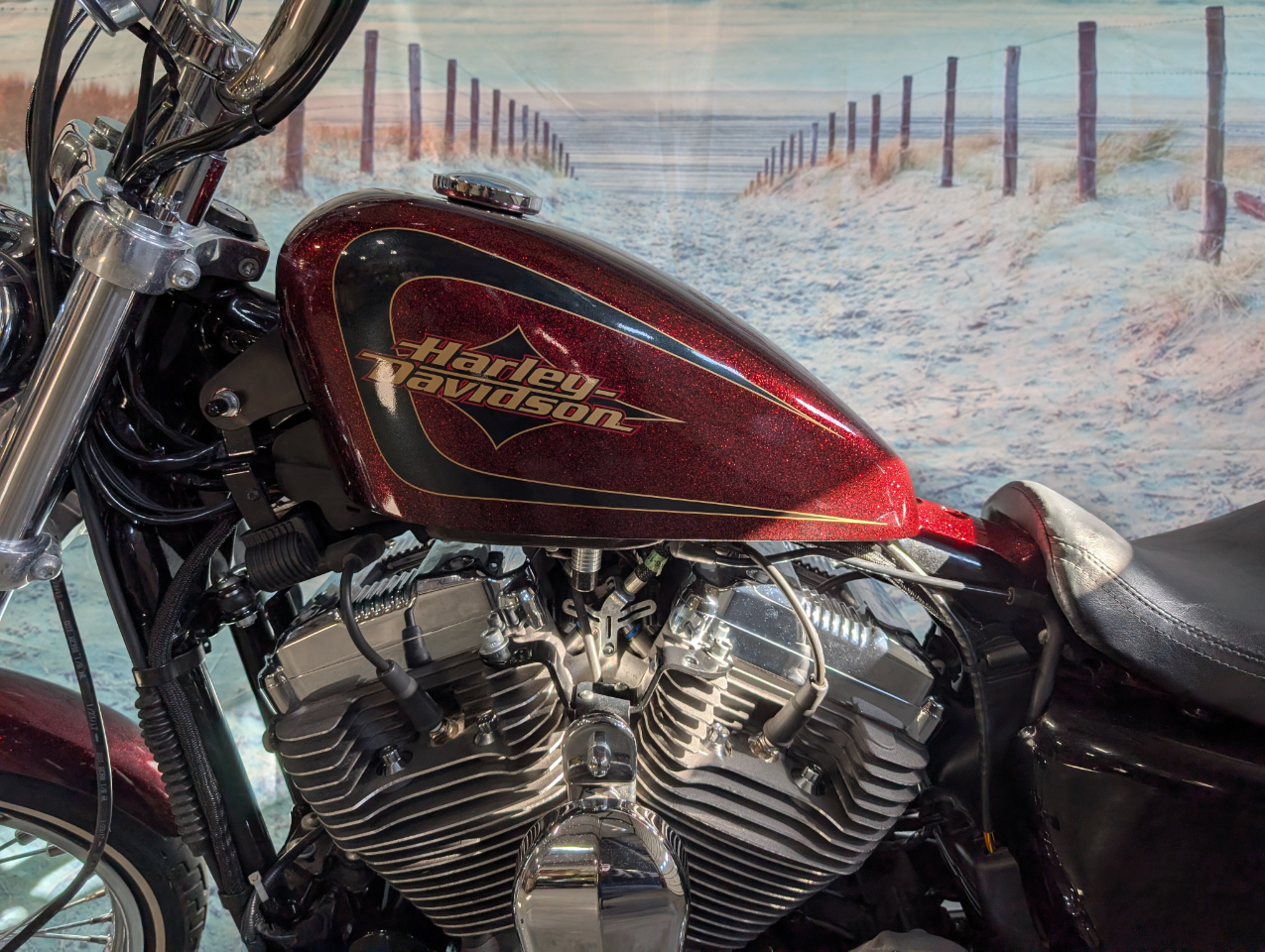 2012 Harley-Davidson XL 1200V Seventy Two